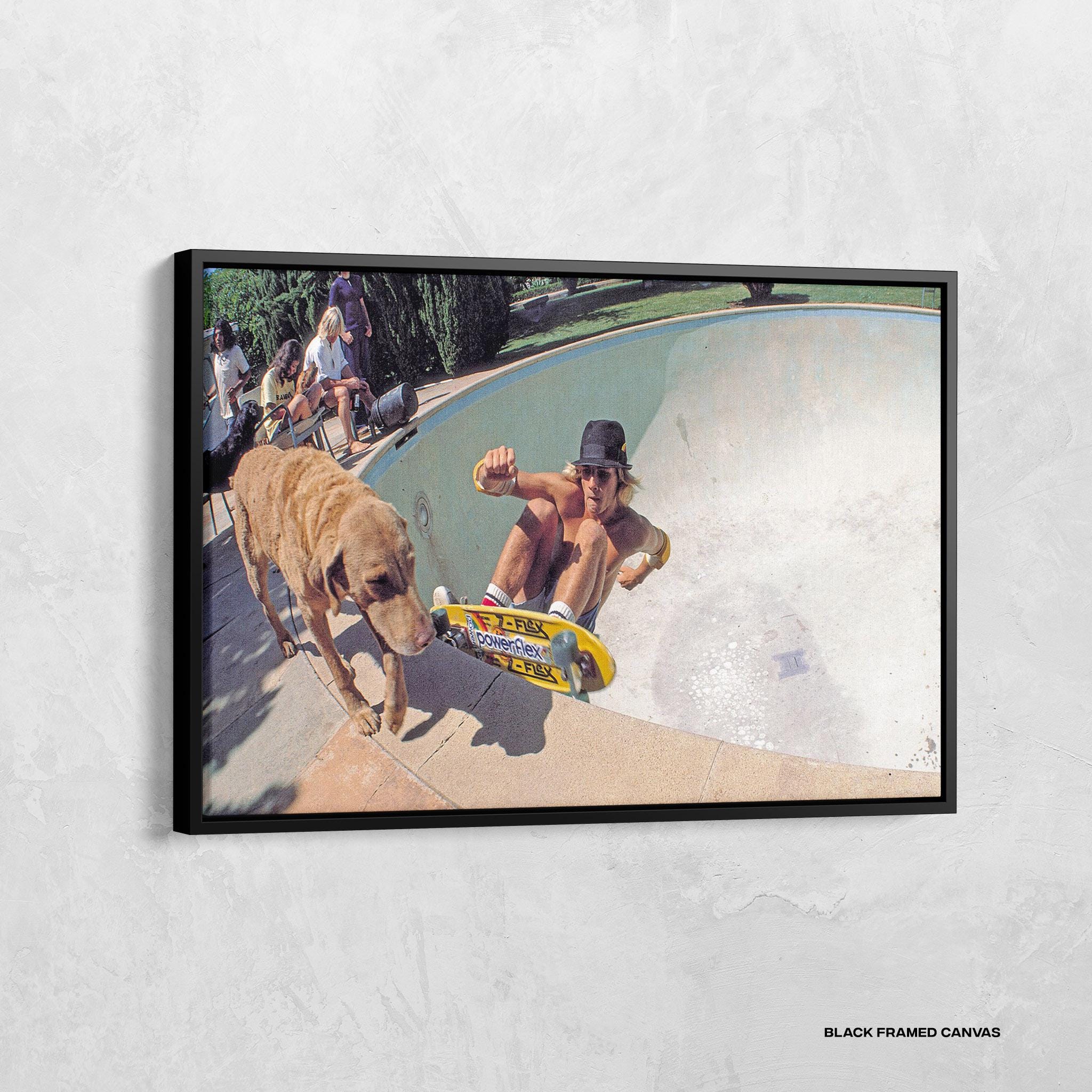 Dogtown Vintage - Etsy Dogtown Vintage - Etsy