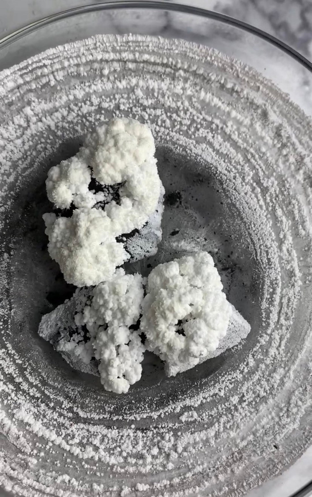 Popcorn Rock Crystal Growing Kit ~ Grow Your Own Mineral Natural ...