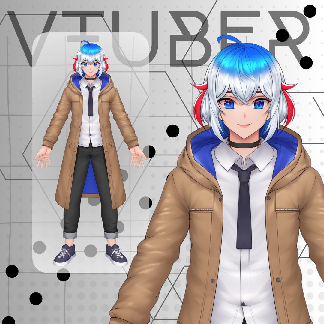 Custom Vtuber Model, Vtuber Design, Vtuber Assets, Pngtuber, Live2d ...