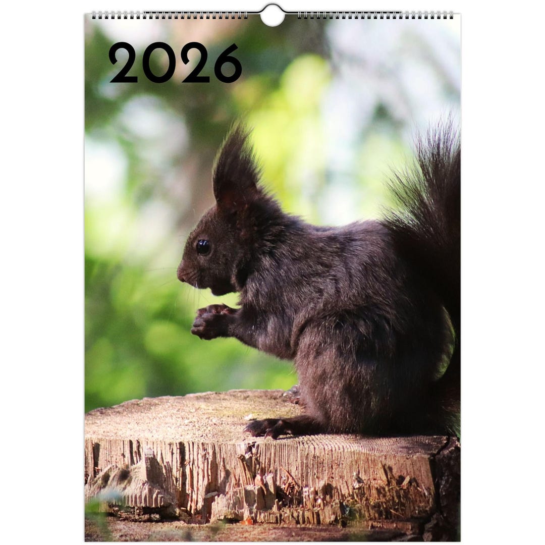 Calendar 2026 - Squirrels - Etsy