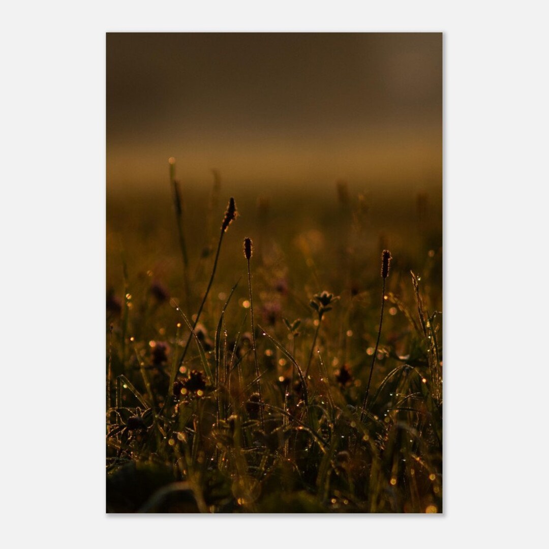 Golden Hour - Poster - Etsy