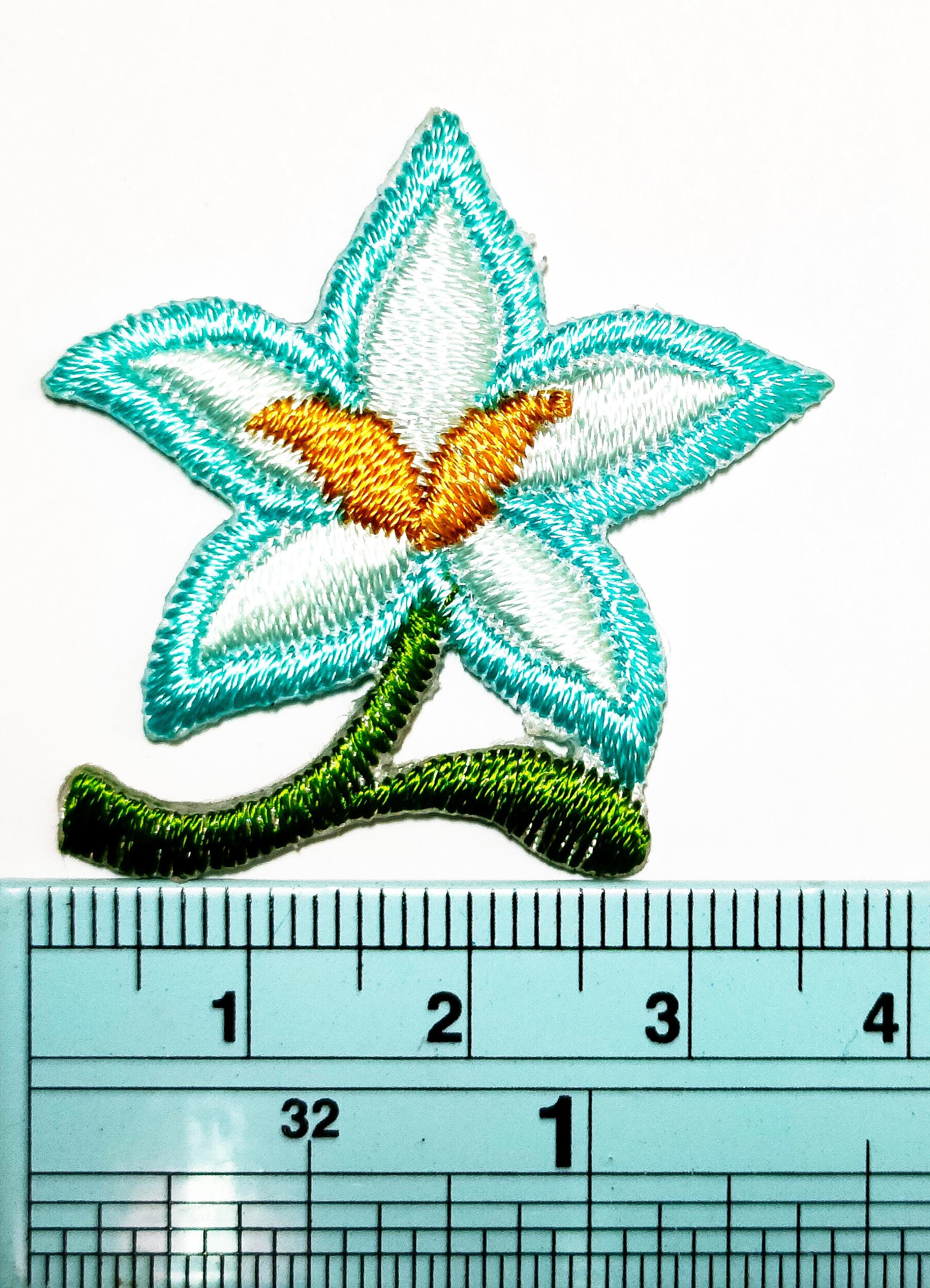 Truly Small Baby Blue Lily Flower Garden Plant Patches Floral Leaves ...