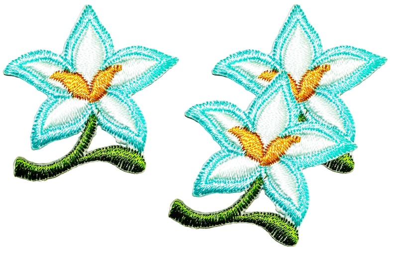 Truly Small Baby Blue Lily Flower Garden Plant Patches Floral Leaves ...