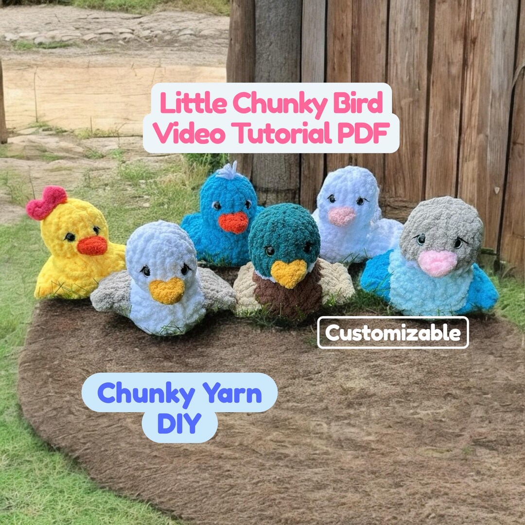 Chunky Knit Seagull Pattern: Finger Knit Bird Tutorial (PDF Download ...