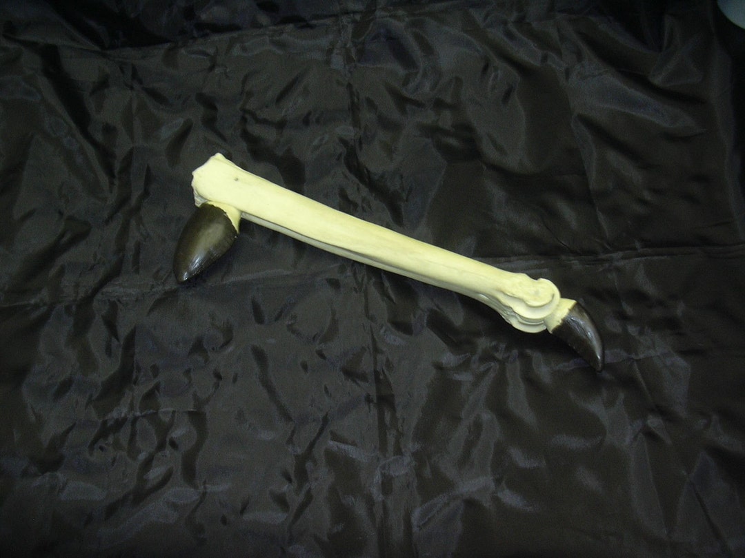 Dragon Tooth Axe - Etsy