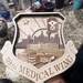 Layered 59 MDW Patch With San Antonio and Old/new Wilford Hall - Etsy