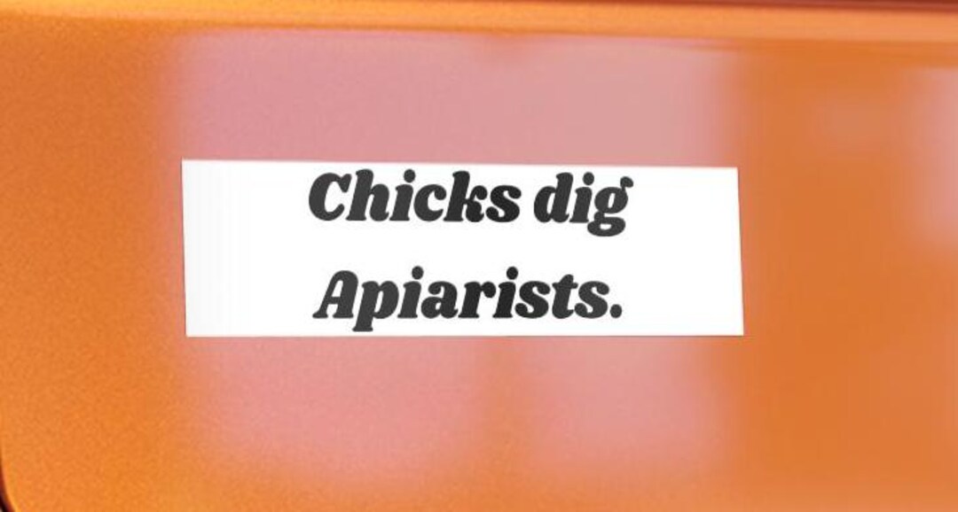 Funny Bumper Sticker Hilarious Car Decal, Humorous Vinyl Decal, Joke ...