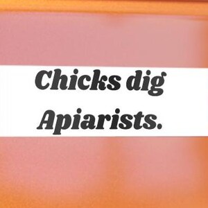 Funny Bumper Sticker Hilarious Car Decal, Humorous Vinyl Decal, Joke ...