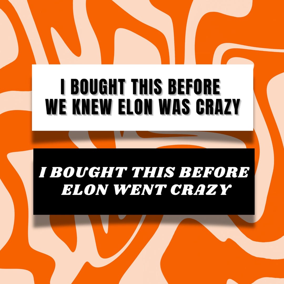 Elon Went Crazy Car Magnet | Funny Weatherproof Bumper | Unserious ...