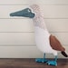 CROCHET PATTERN Blue-footed Booby Bird - Etsy