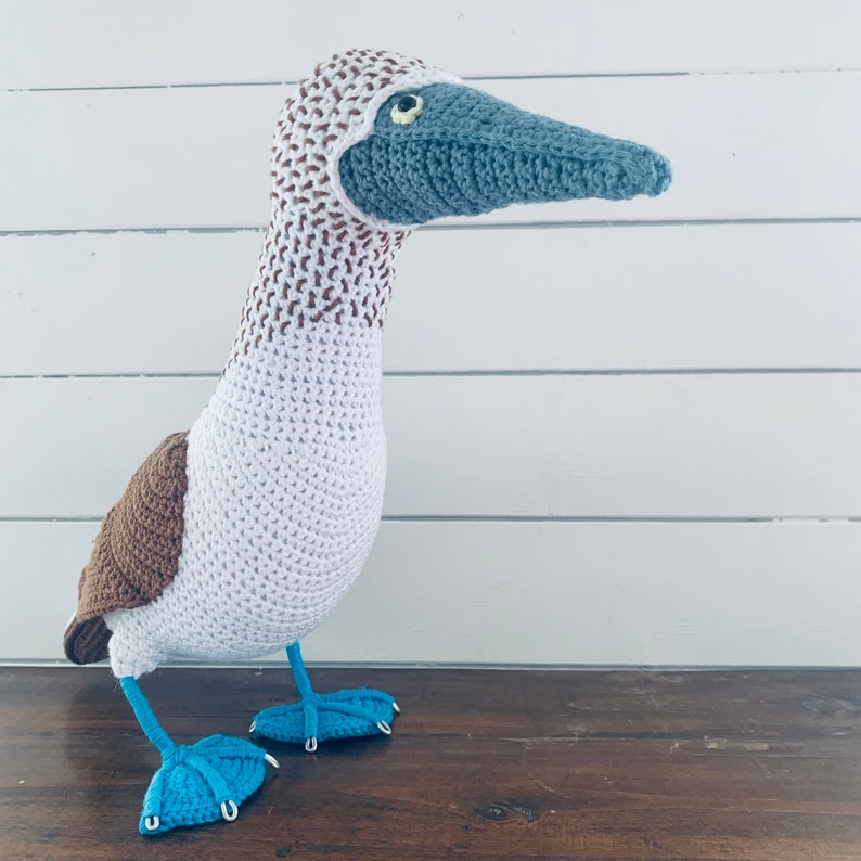 CROCHET PATTERN Blue-footed Booby Bird - Etsy