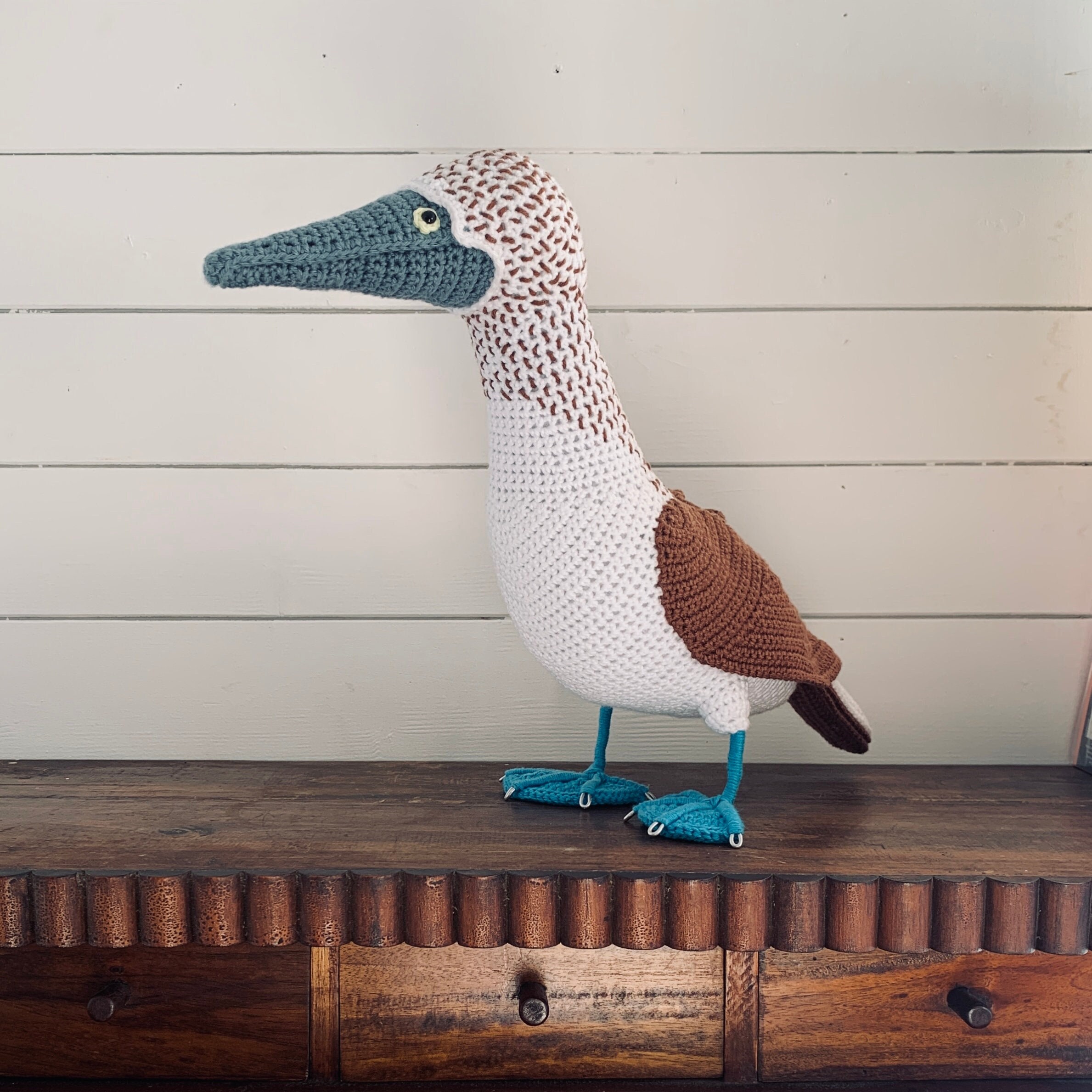 CROCHET PATTERN Blue-footed Booby Bird - Etsy