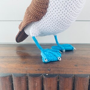 CROCHET PATTERN Blue-footed Booby Bird - Etsy