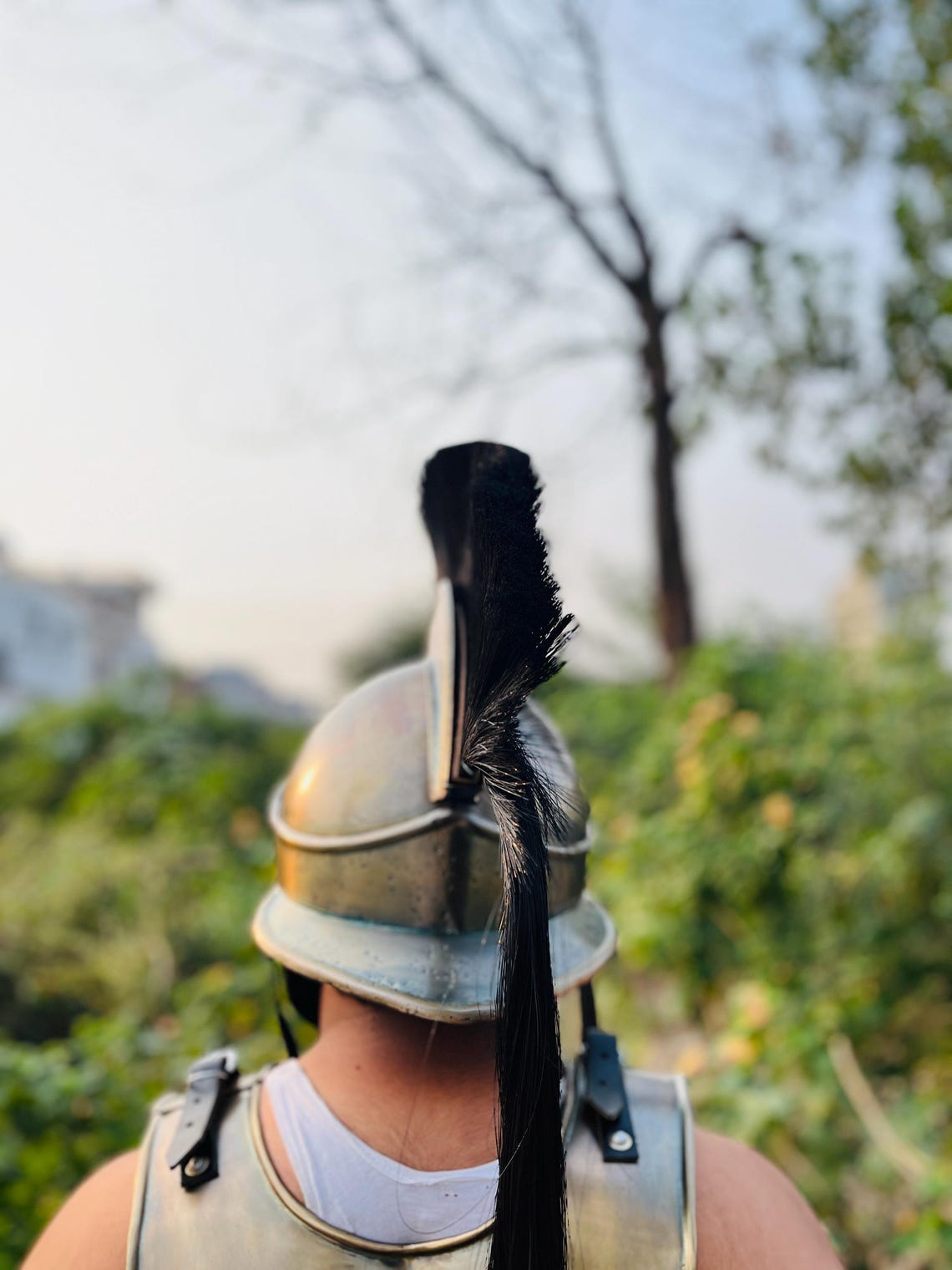 Knight Roman Spartan Suit of Armor Muscle Set-shield - Helmet- Arm ...