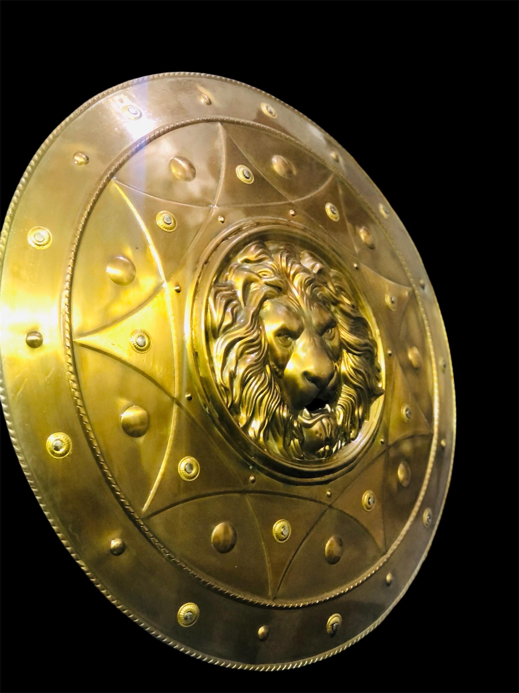 Lion Face Round Shield Medieval Iron Shield Knight Armor Shield Solid ...