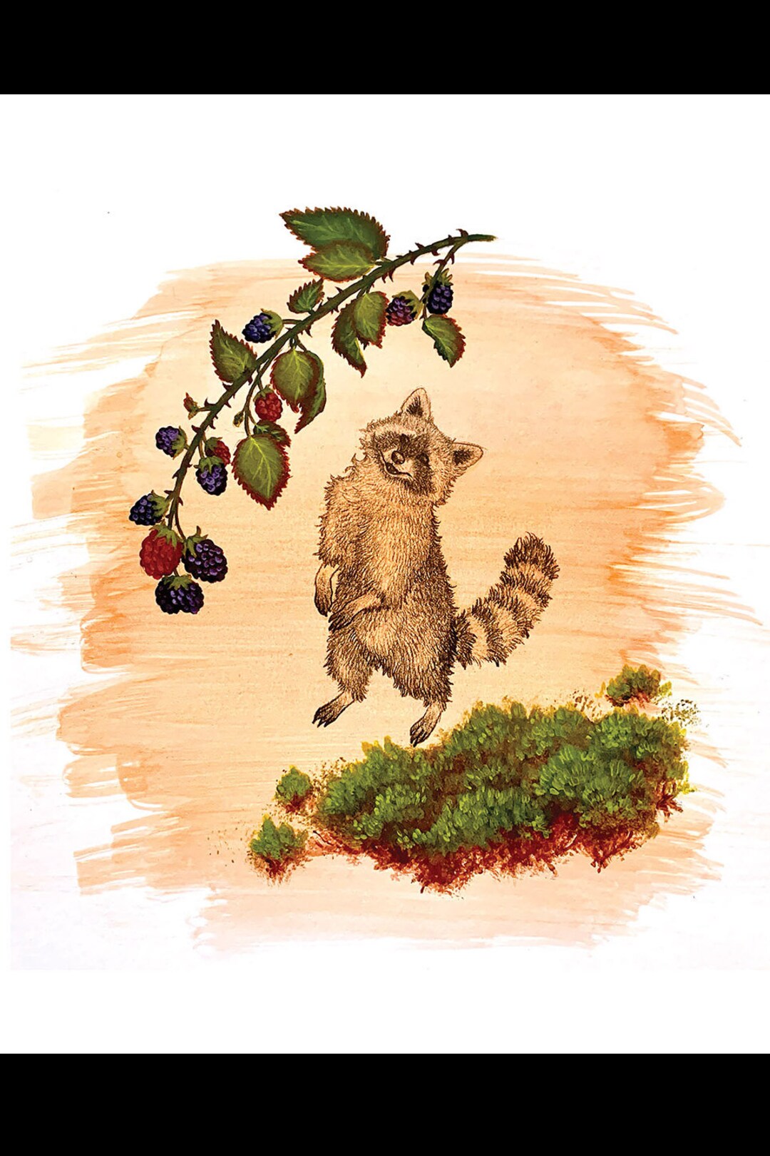 Illustration Print bramble Cute Raccoon Illustration Print 11 X 13 High ...