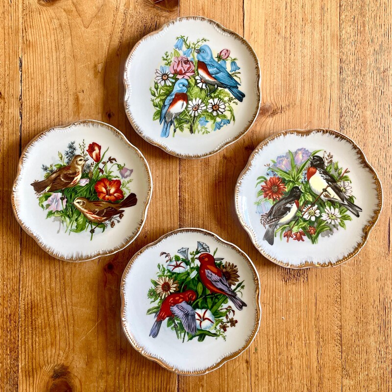 Bird Plates - Etsy