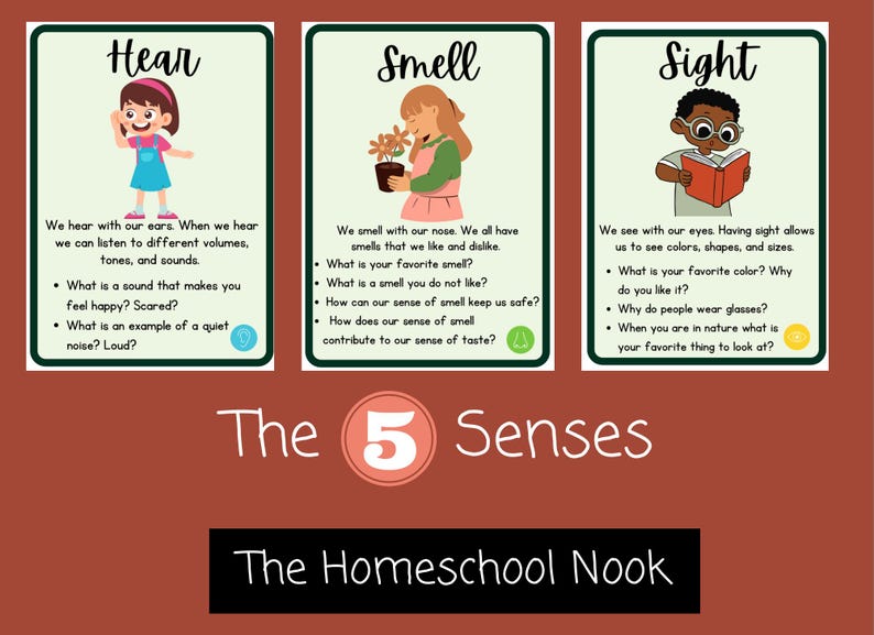 Five Senses Flashcards | Science Flashcards | Preschool and ...