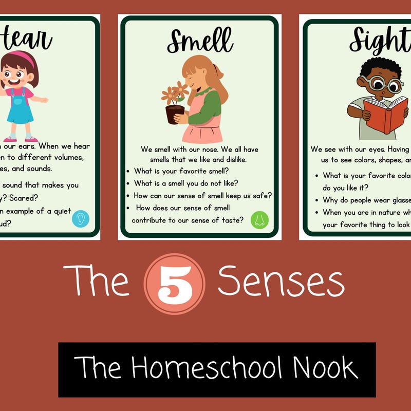 Five Senses Preschool - Etsy