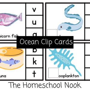 Ocean Animals Beginning Sounds Clip Cards | Preschool Printable ...