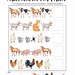 On the Farm | Farm Nature Unit | Farm Animals | Farm Unit Study | Farm ...