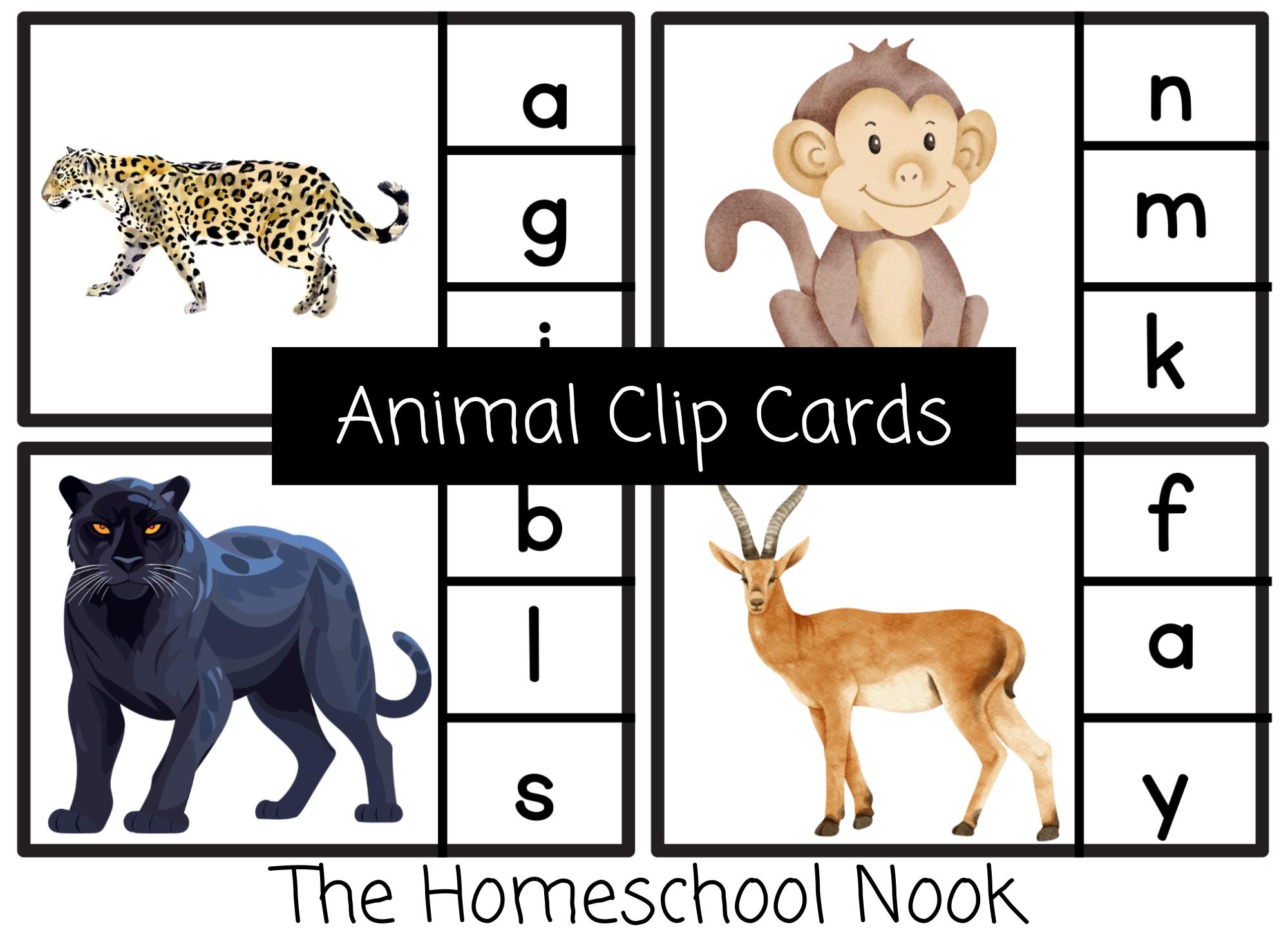 Wild Animal Beginning Sounds Clip Cards| Preschool Printable ...