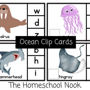 Ocean Animals Beginning Sounds Clip Cards | Preschool Printable ...