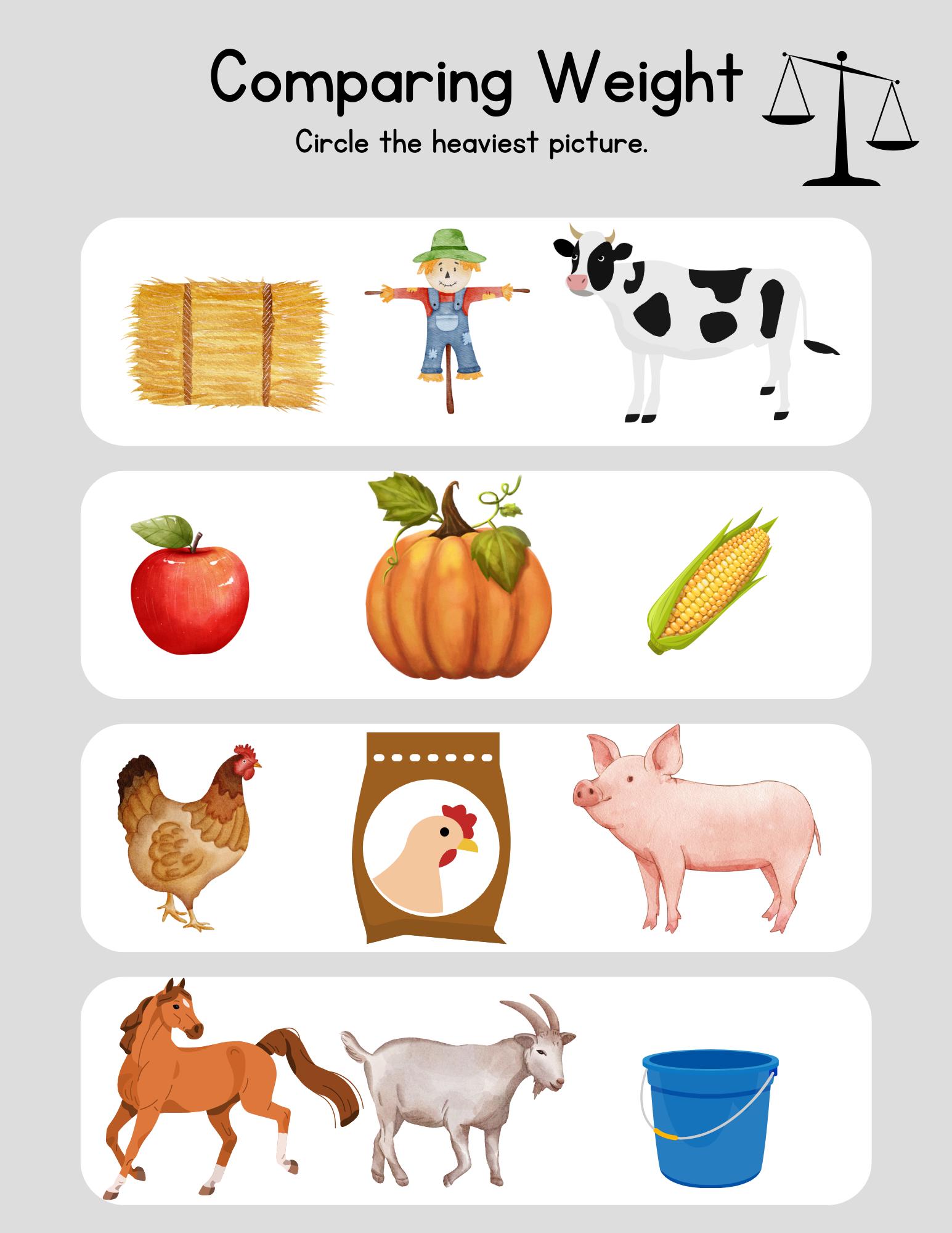 On the Farm | Farm Nature Unit | Farm Animals | Farm Unit Study | Farm ...