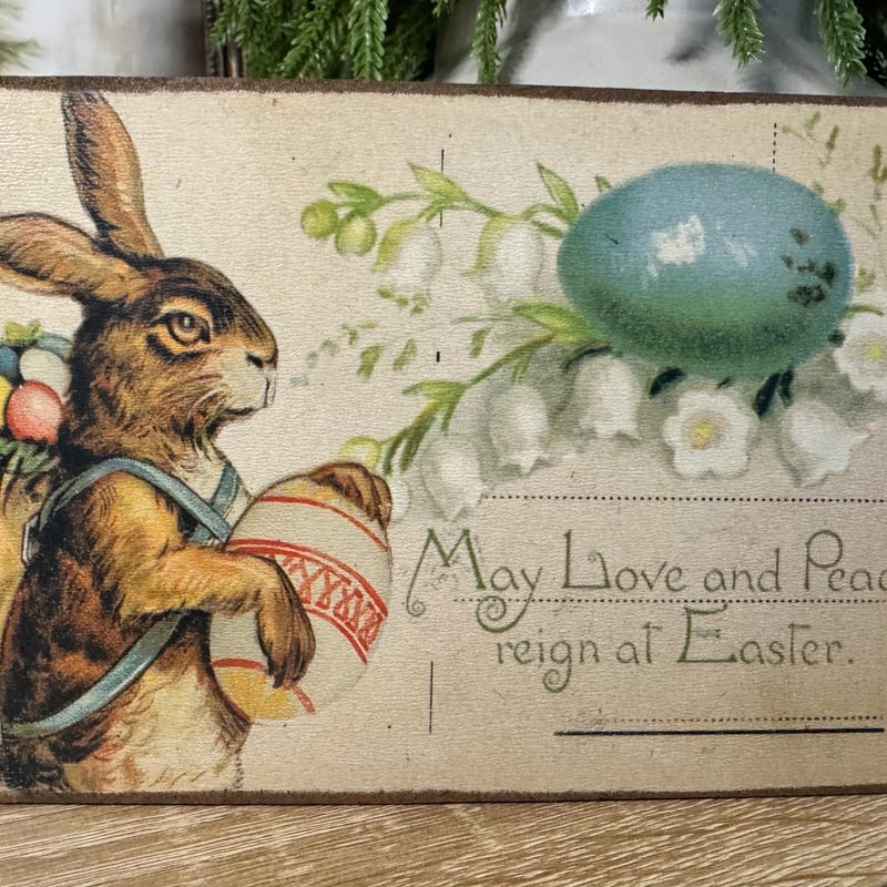 Rabbit Postcard - Etsy
