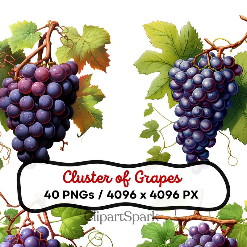 Grape Theme - Etsy