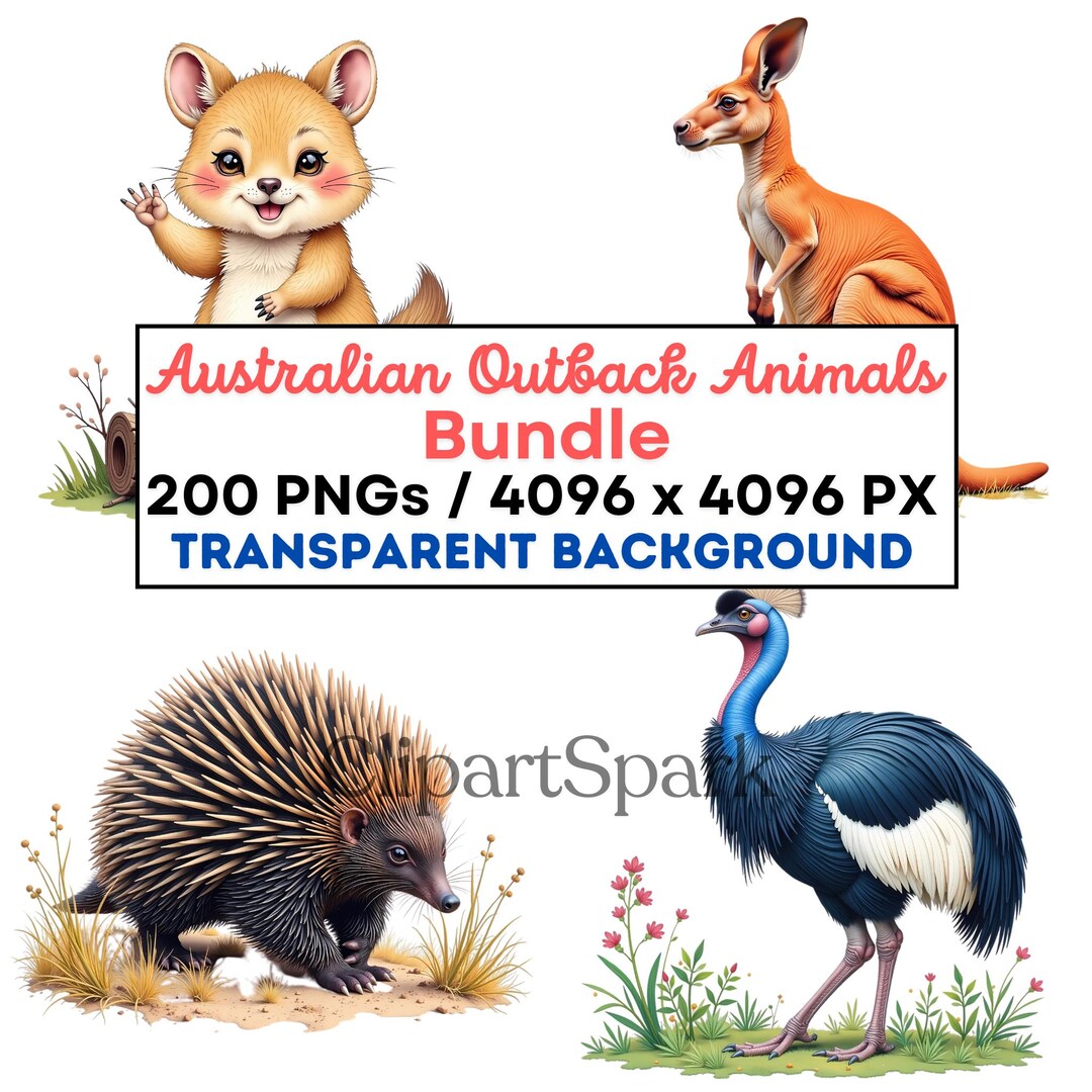 Australian Outback Animals Bundle - 200 Pngs | 4096x4096 PX ...
