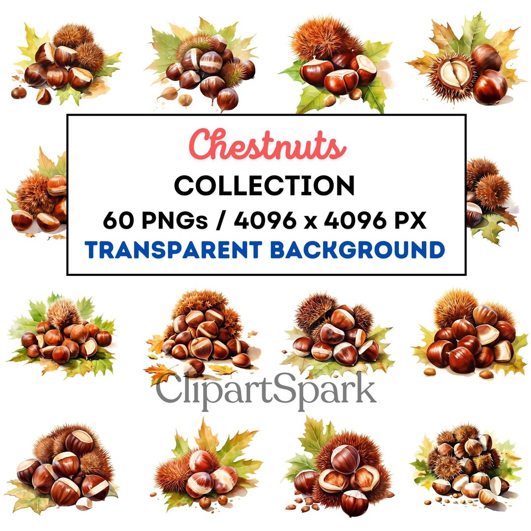 Chestnuts Clipart Collection | 60 Pngs | Transparent Background | High ...