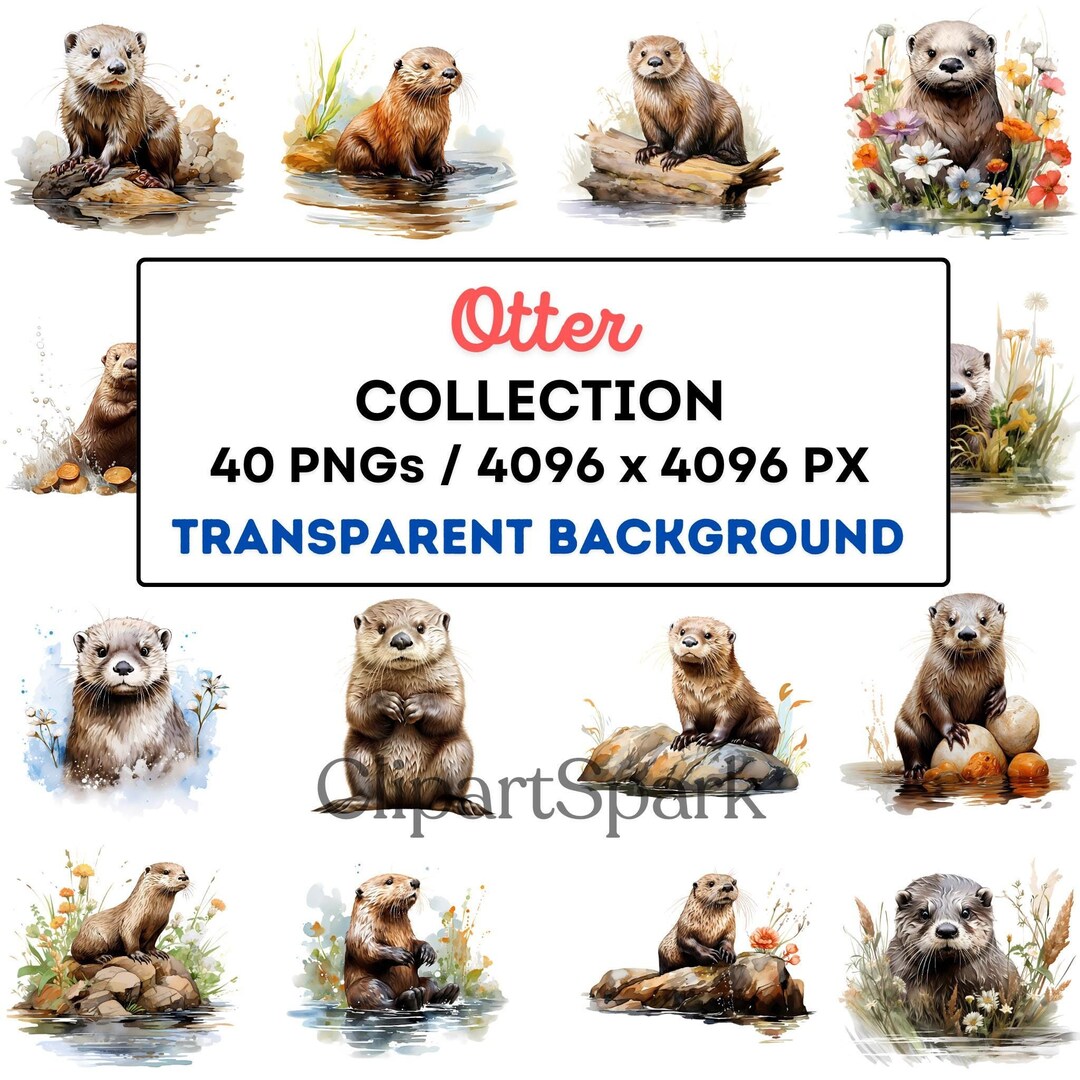 Otter Clipart Collection - 40 Pngs | Cute Wildlife Illustrations ...
