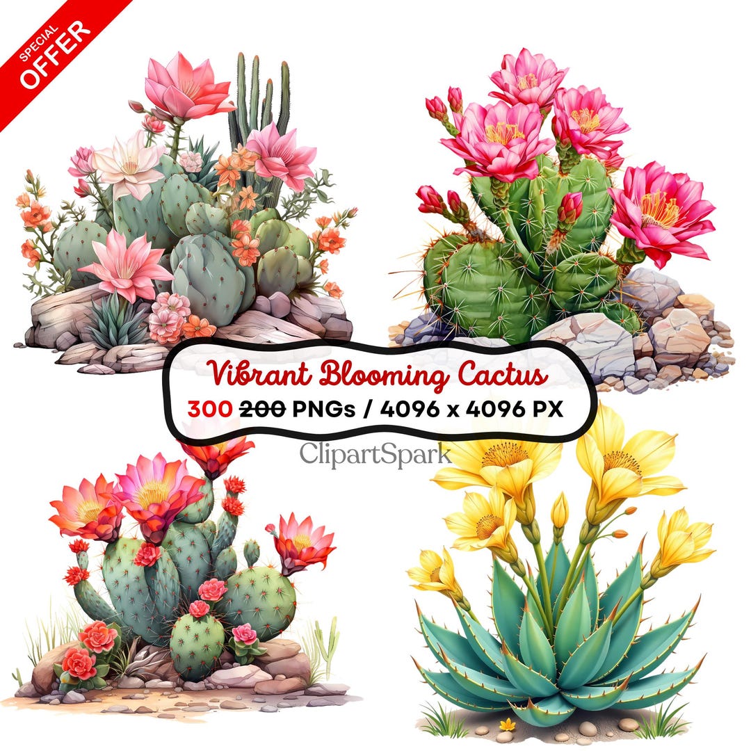 Vibrant Blooming Cactus Clipart | 300 Pngs | 4096x4096 Px | Desert ...
