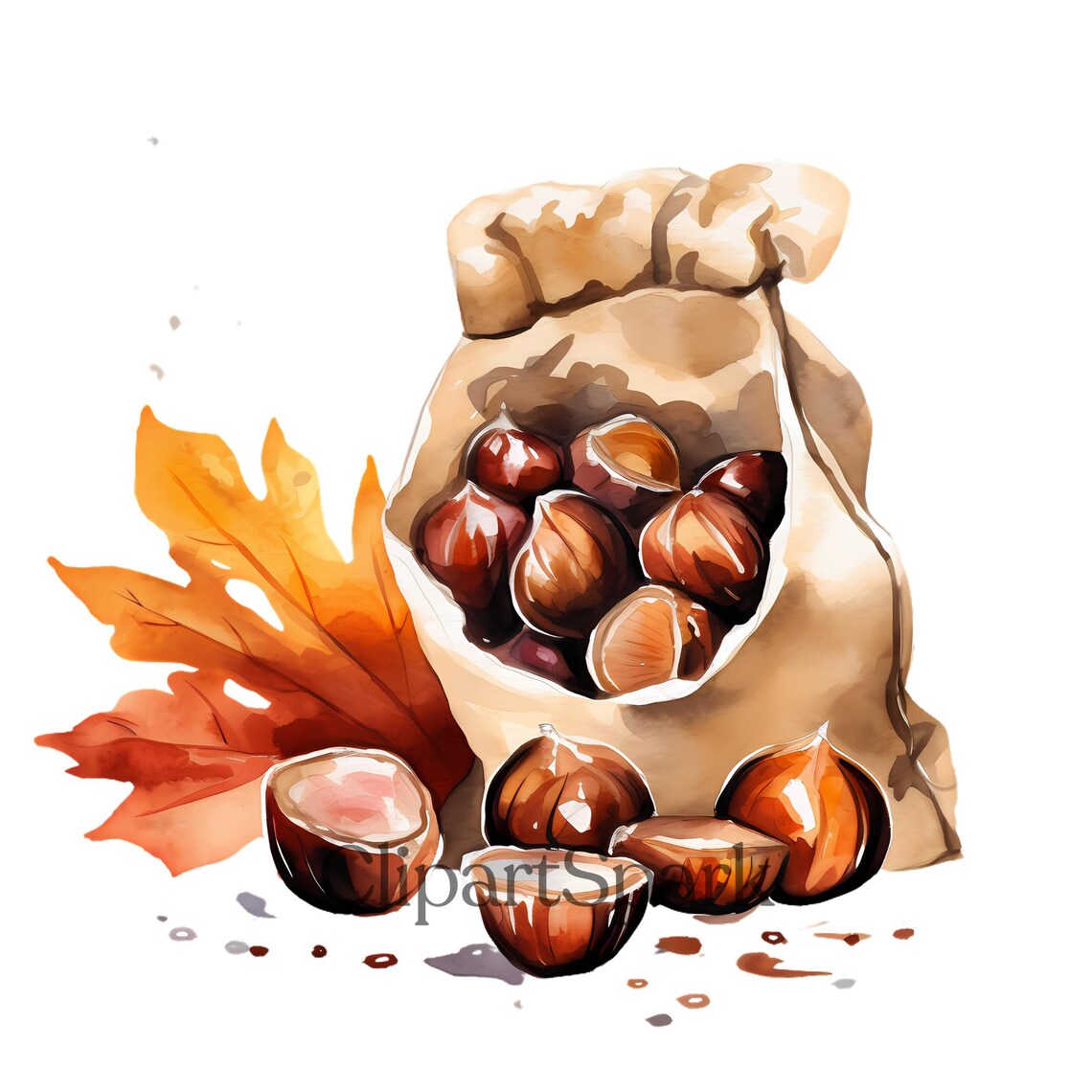 Roasted Chestnuts in a Bag Clipart | 15 Pngs | Transparent Background ...