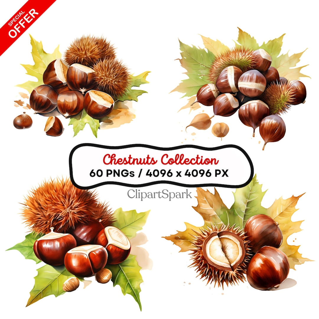 Chestnuts Clipart Collection 60 Pngs Transparent Background High ...
