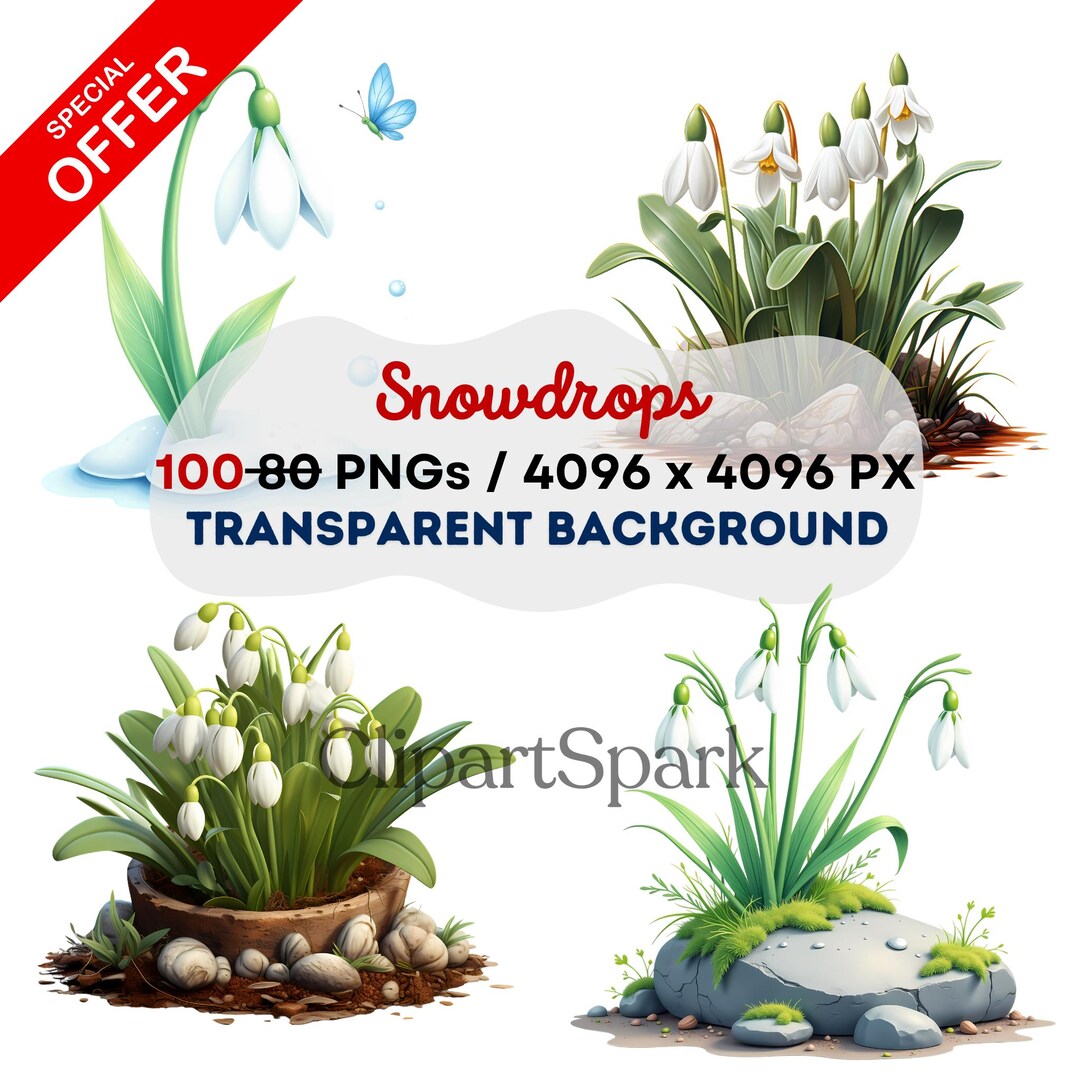 Snowdrops Clipart PNG Bundle | 100 Files | 4096x4096 Px | Spring Floral ...