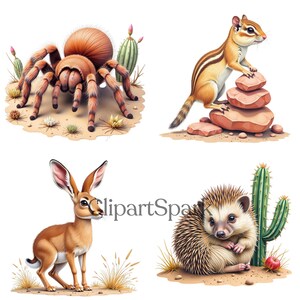 Desert Animals Illustrations Bundle 413 Pngs 4096x4096 Px Wildlife and ...
