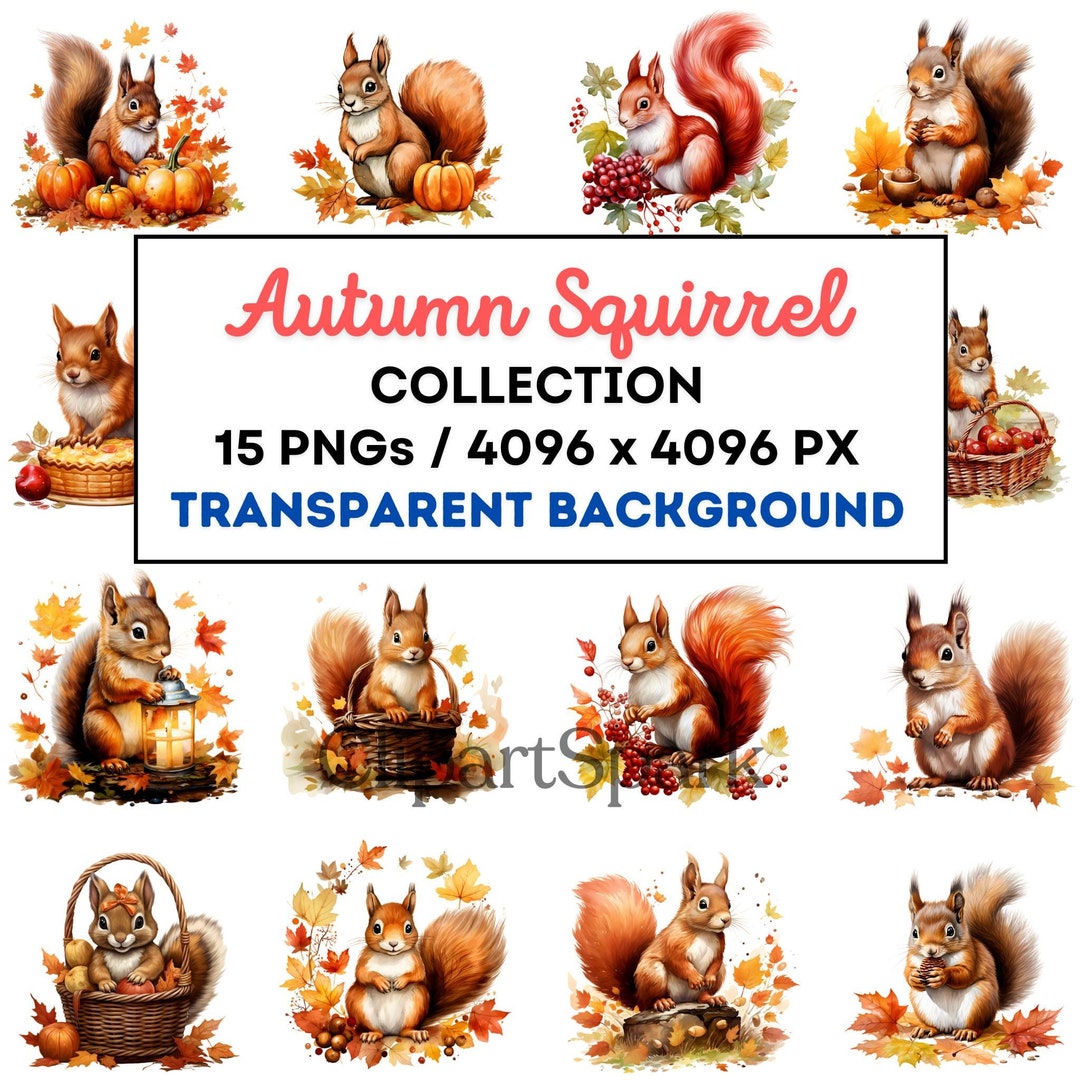 Autumn Squirrel Clipart Collection | 15 Pngs | Transparent Background ...
