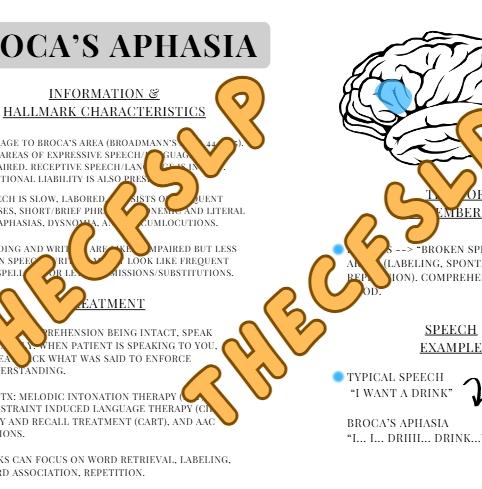 Aphasia Study Packet - Etsy