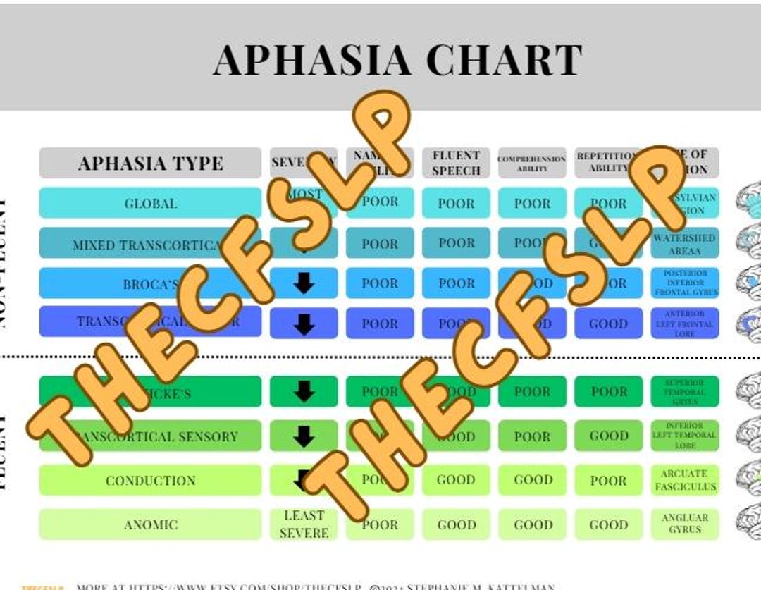 Aphasia Study Packet - Etsy