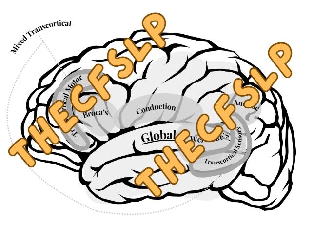 Blank Aphasia Study Chart - Etsy