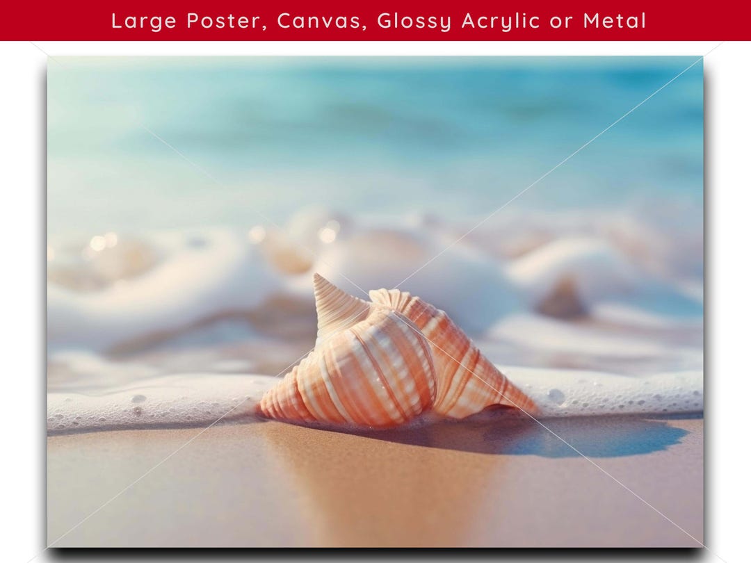 Seashell Beach Art Comes in Canvas, Poster, Acrylic and Metal | Canvas ...