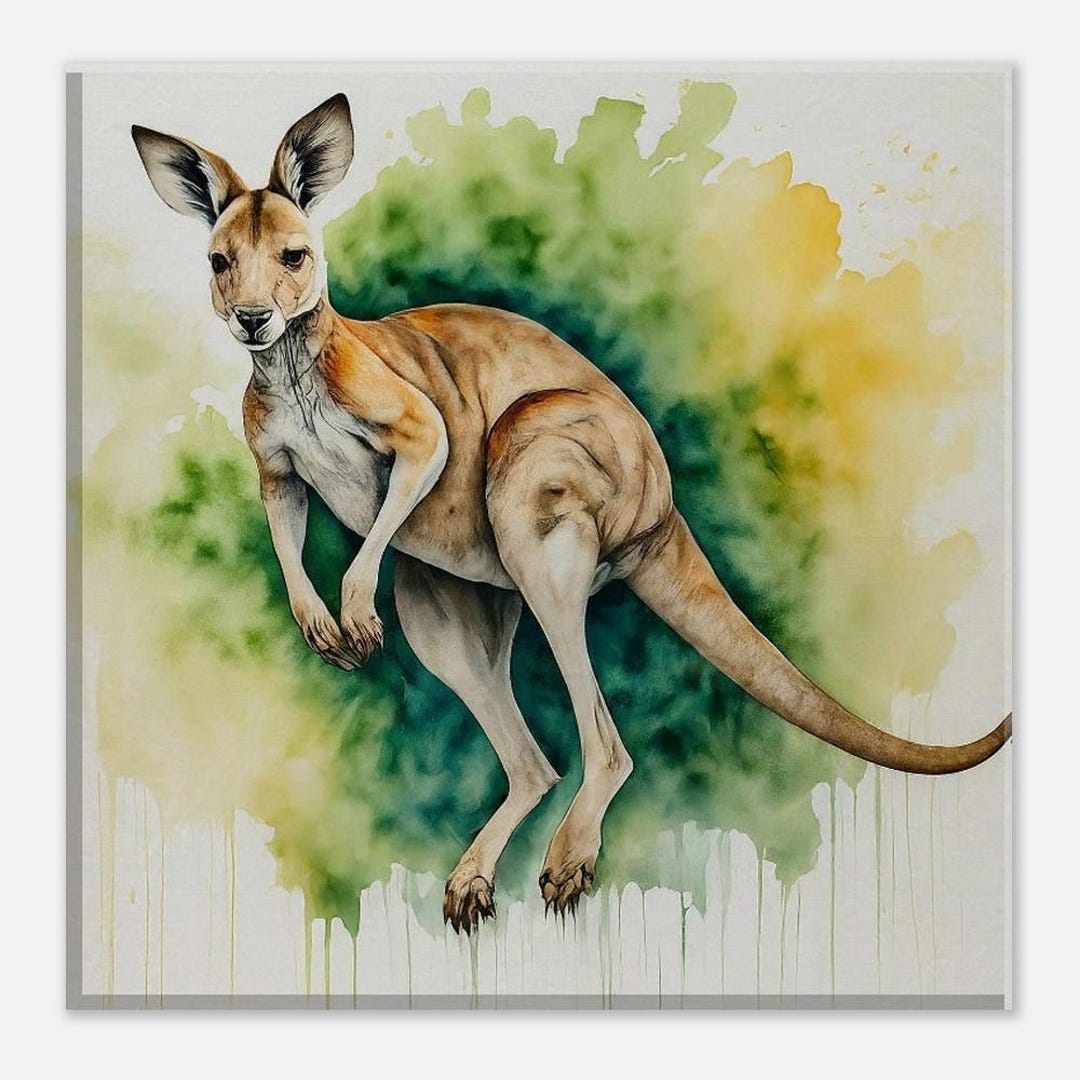 Watercolour of Kangaroo on Canvas 20x20 Cm Kangaroo Colorful Kangaroo ...
