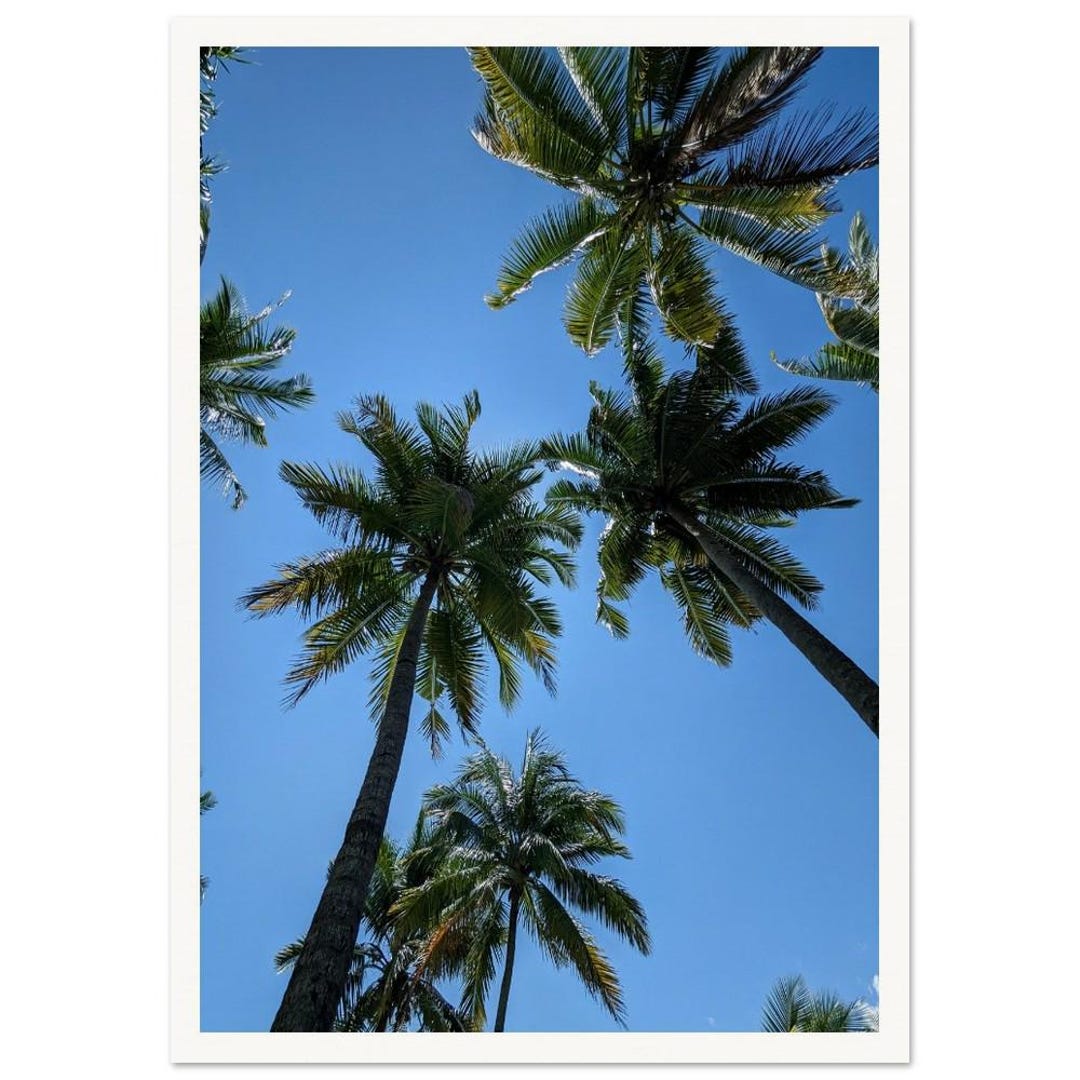 Palm Tree Poster Wall Art Tuvalu Poster Home Decor Limited Edition ...