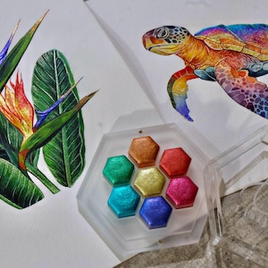 Orig. Lisilinka - Tropical Sunset - Set of Seven Super Vibrant ...