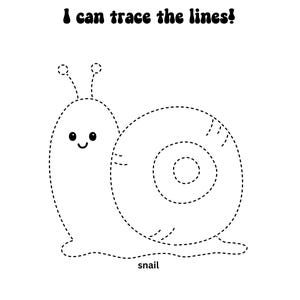 30 Preschool Shape Tracing, Shape Tracing Worksheets, Printable Shape ...