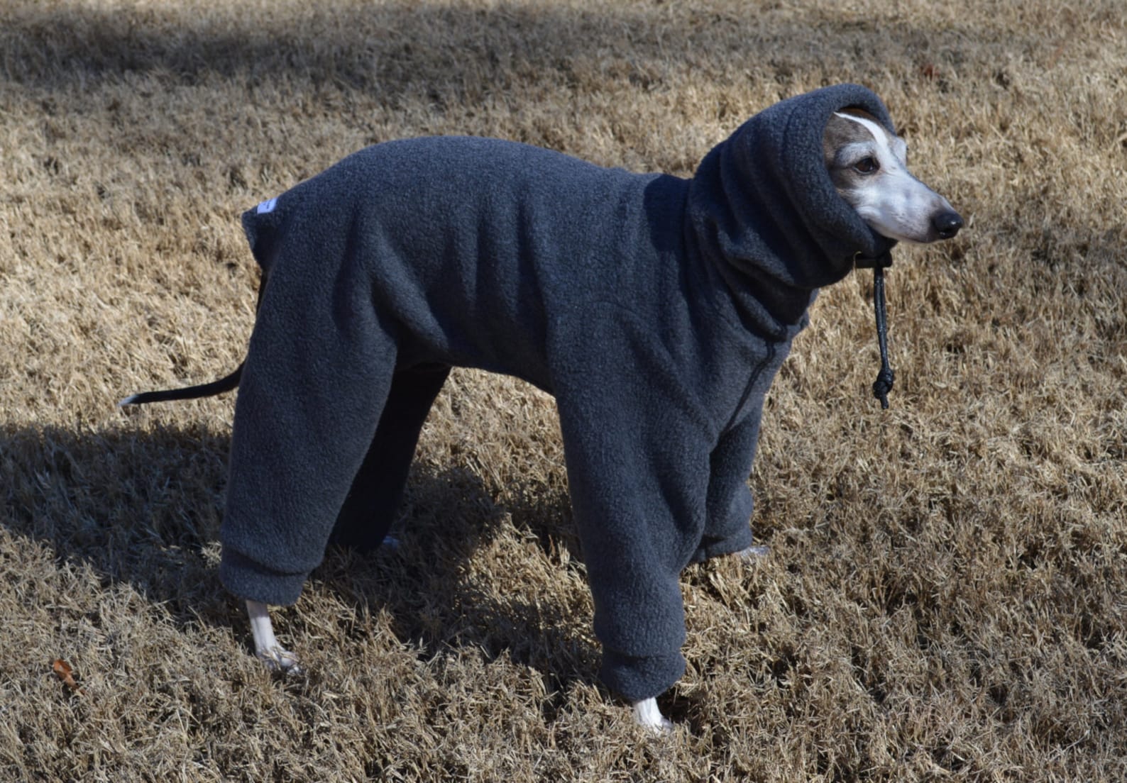 PLUSH Fleece Solid Colored PLUSH Fleece Snoodie Pajamas - Etsy