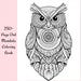 250 Owl Mandala Coloring Pages: Relaxing Adult Art Therapy With Bonus ...