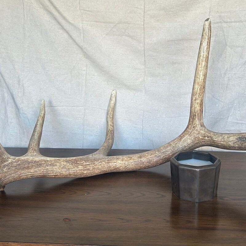 Elk Antler - Etsy